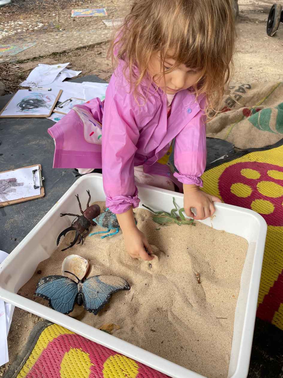 Programs – Play on Earth